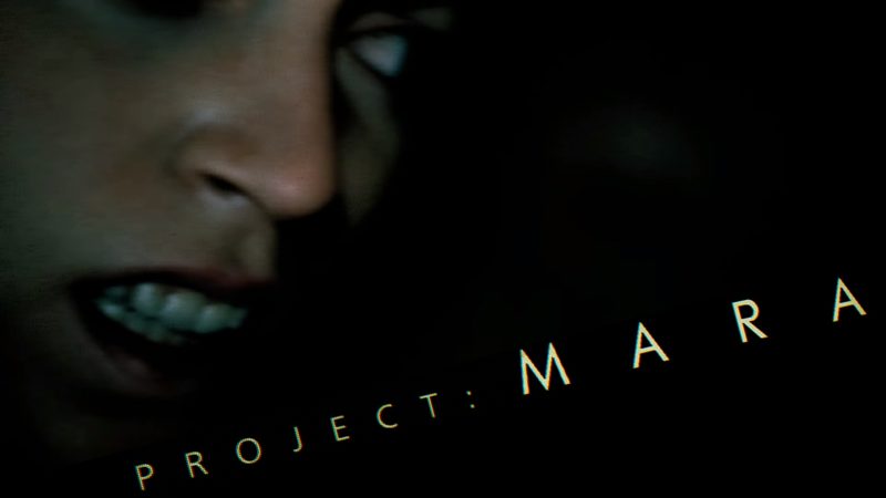 Ninja Theory、新作『Project: Mara』を発表！新しいストーリーテリングの方法を探求する実験的タイトルに | ゲーム情報 ...